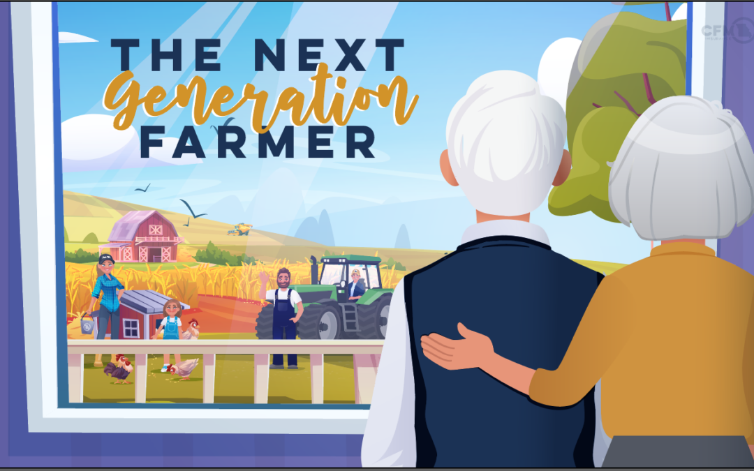 Home | CFM Insurance